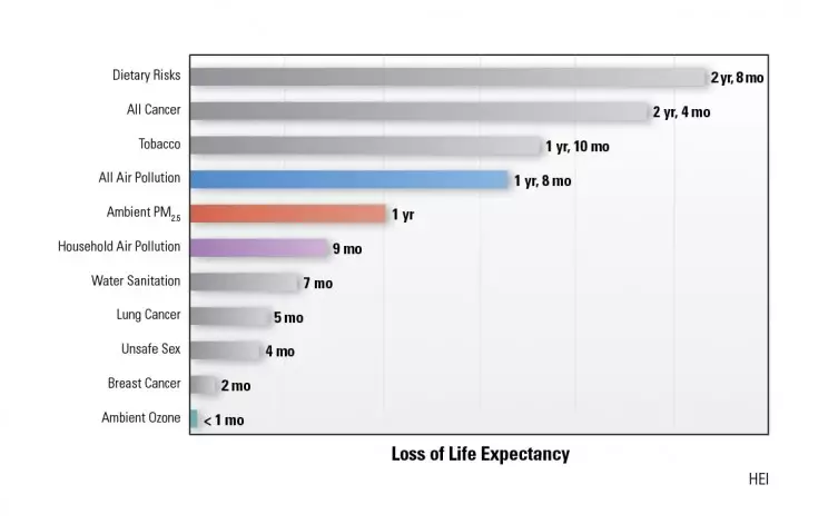 Luftforurening reducerer børns forventede levetid med år Ny rapport afslører