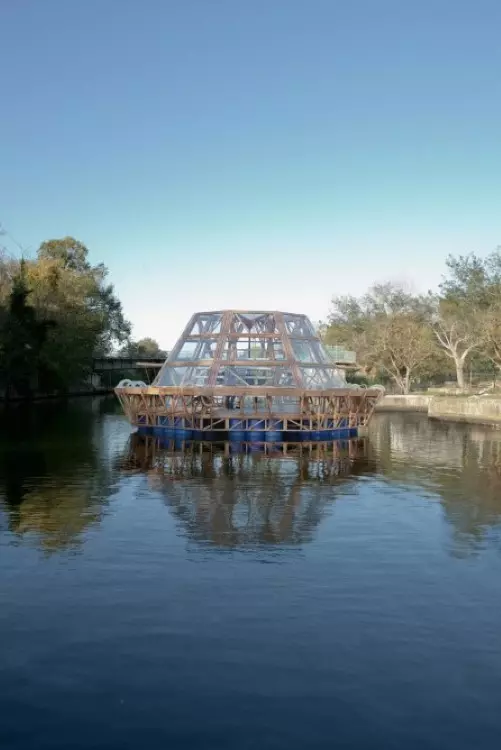 jellyfish_barge