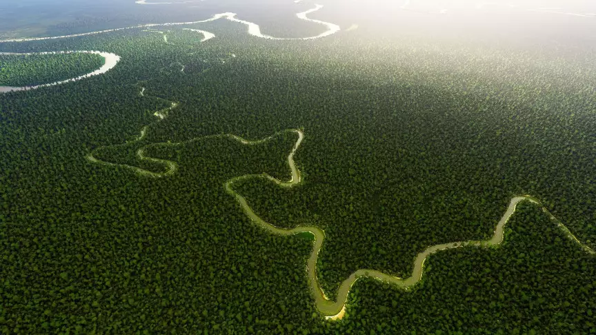 Arkeolog wis nemokake 11 pemukiman 'ilang' ing ngisor Amazon