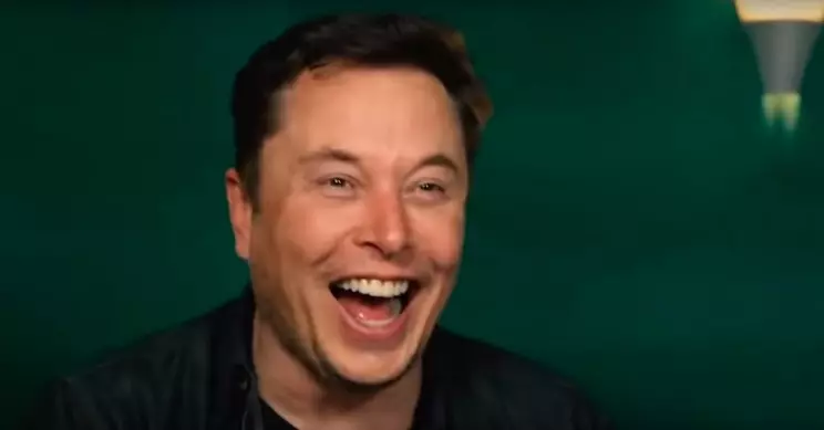 Маск каже да ће Тесла развити тихи дувач лишћа