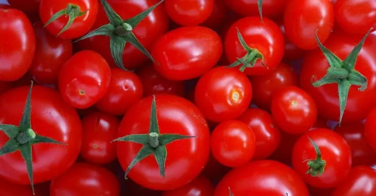 Mokslininkai išsiaiškina, kodėl parduotuvėje pirkti pomidorai yra tokio blogo skonio ir kaip tai ištaisyti