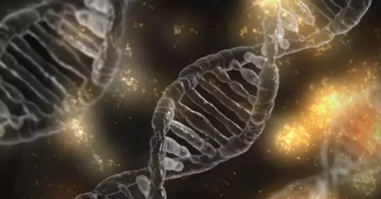 解決關於 DNA 檢測試劑盒的常見誤解