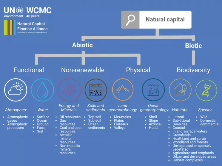 Система классификации возобновляемых и невозобновляемых природных источников