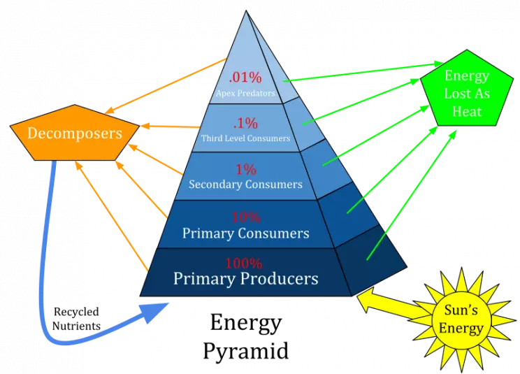 Piramida Energiei