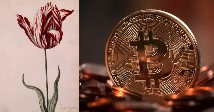 Bitcoin او Tulip Mania څه شی لري؟