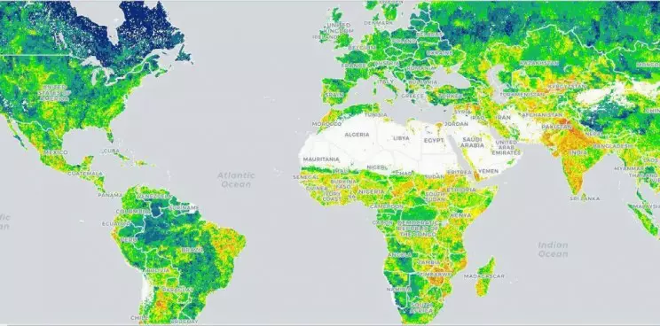 desertification WAD