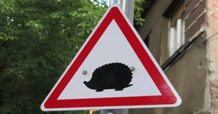 Vil Storbritanniens nye 'Hedgehog'-vejskilt redde det truede dyr?