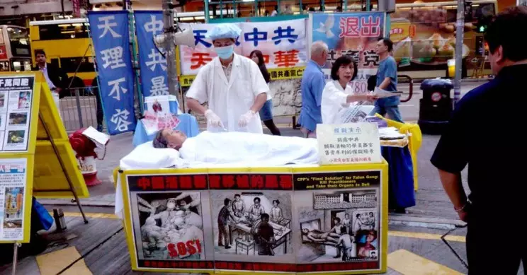 Falun Gong Protest Cynaeafu Organ