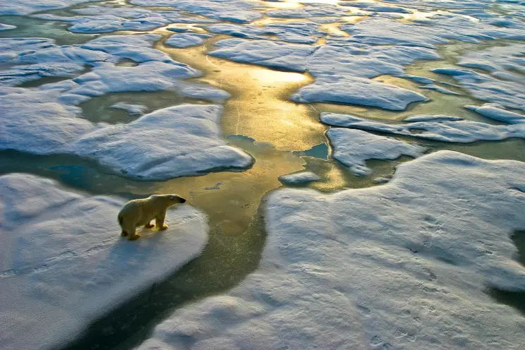 Enfrastrikti ki deja emèt Kabòn pou Pouse Planèt a 1.5˚C