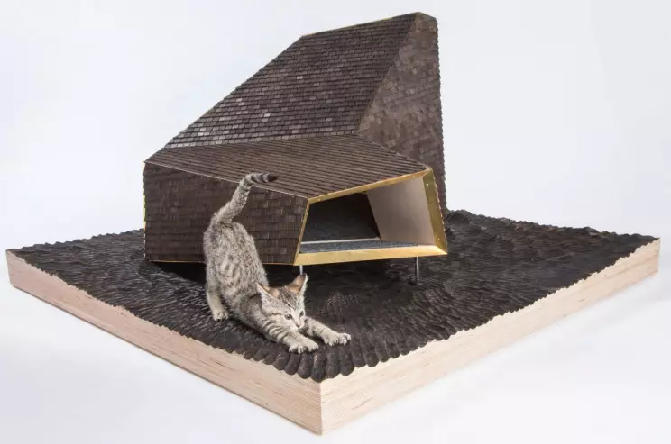 know-how cathouse