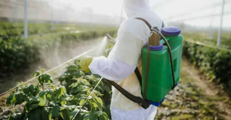 Ang EPA Dili Pagdili sa Insecticide Link sa mga Problema sa Panglawas sa mga Bata