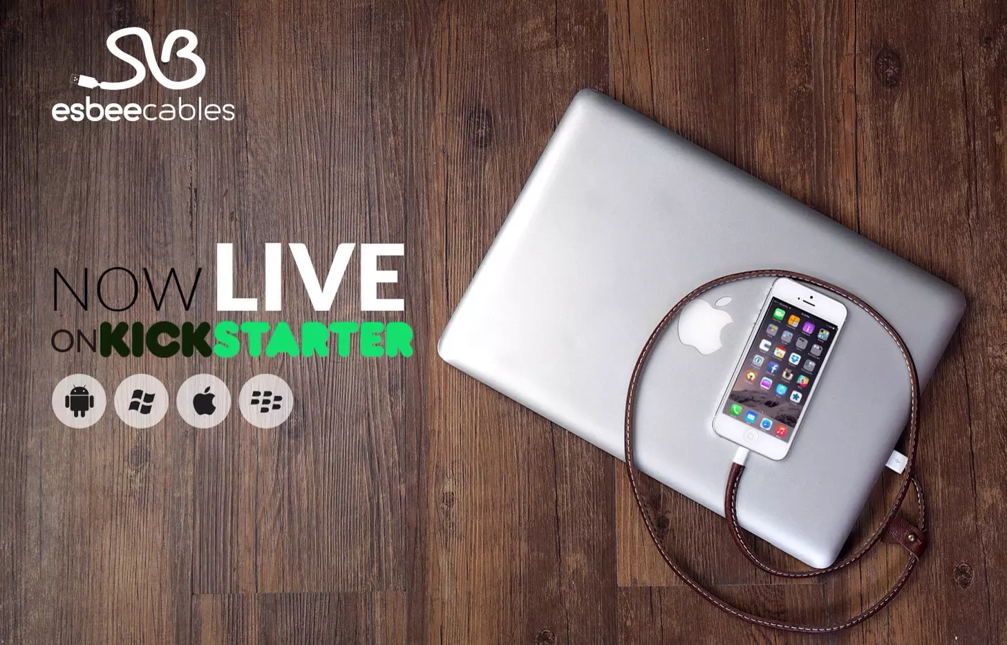 Esbee Cables - Thunderclap e Kickstarter