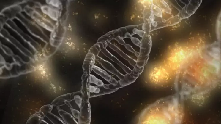 Banza CRISPR Koresha imbere mumubiri bizafasha kuvura ubuhumyi mubana nabakuze