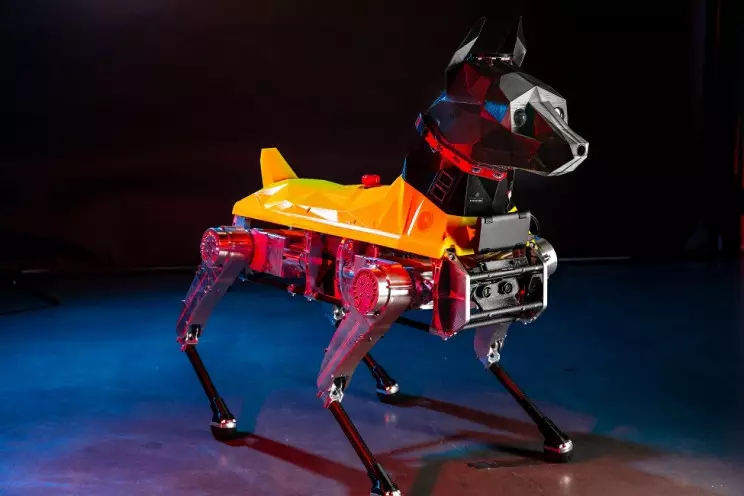 سائنسدانوں نے 3D پرنٹڈ ڈوبرمین پنشر ہیڈ کے ساتھ پہلا چوکور روبوٹ بنایا
