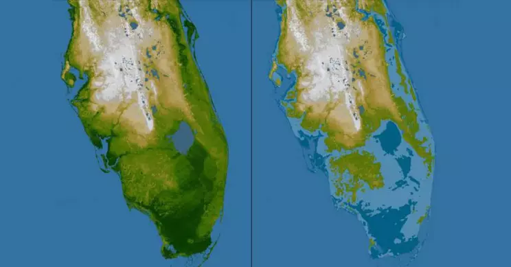 Floridako Klima Aldaketa