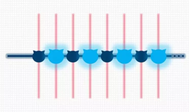 'Gato de Schrödinger' en un laboratorio: creado con 20 Qubits entrelazados