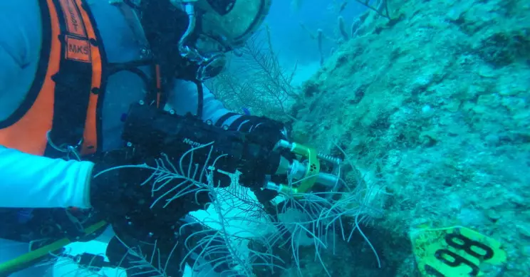 NASA und ESA zeigen Technologie für neues Unterwasserabenteuer: Das Internet liebt es