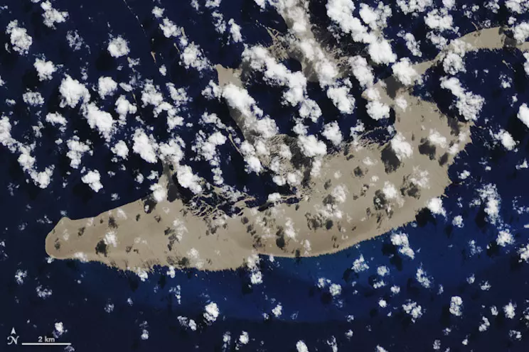 Недавно обнаруженный пемзовый плот, направляющийся в Австралию, может помочь Большому Барьерному рифу