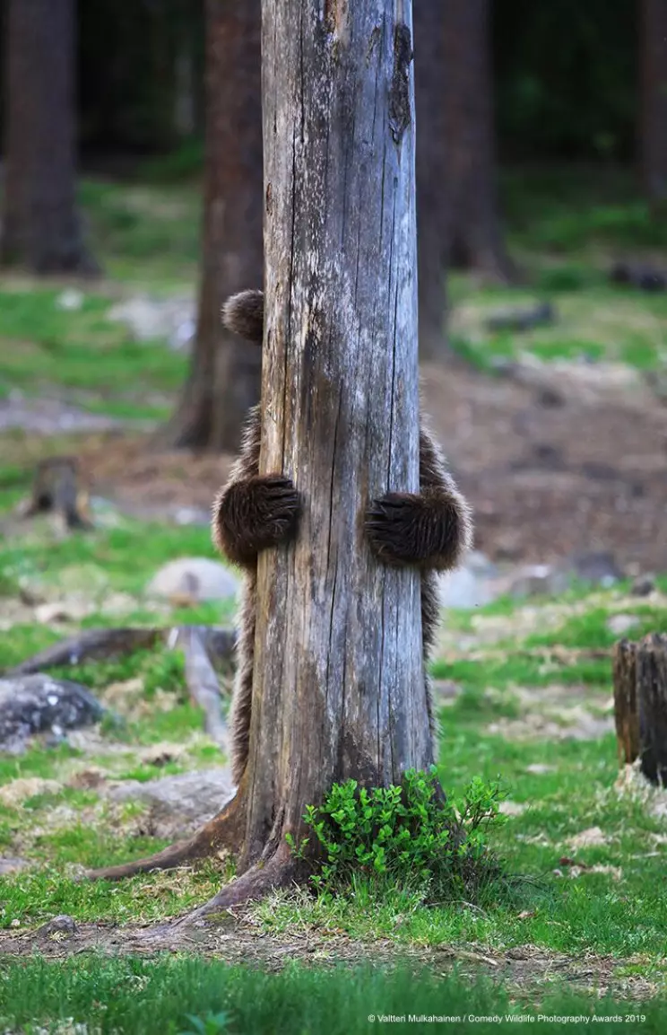 13 photographies humoristiques de la faune de l'année