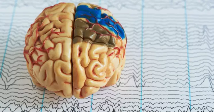 Mientras estás profundamente dormido, tu cerebro elimina recuerdos 'innecesarios'