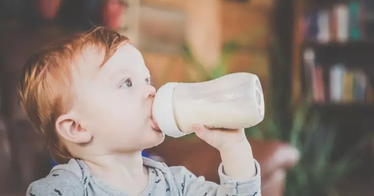 Os bebés prehistóricos tamén beberon leite de botellas, segundo un estudo arqueolóxico