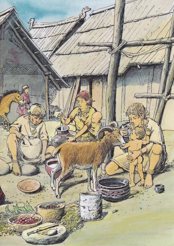 پراگیتہاسک کے بچے بوتلوں سے بھی دودھ پیتے تھے، آثار قدیمہ کے مطالعے سے پتہ چلتا ہے