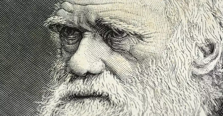 Il-post fejn twieled Charles Darwin Inbidel F'Università