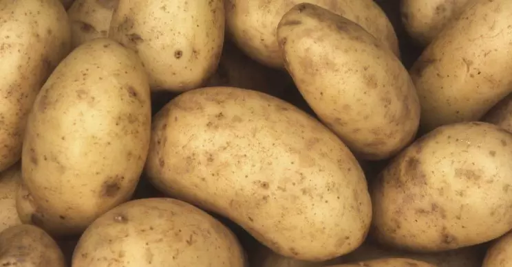 Comer puré de patata es tan efectivo como los geles de carbohidratos para aumentar el rendimiento deportivo