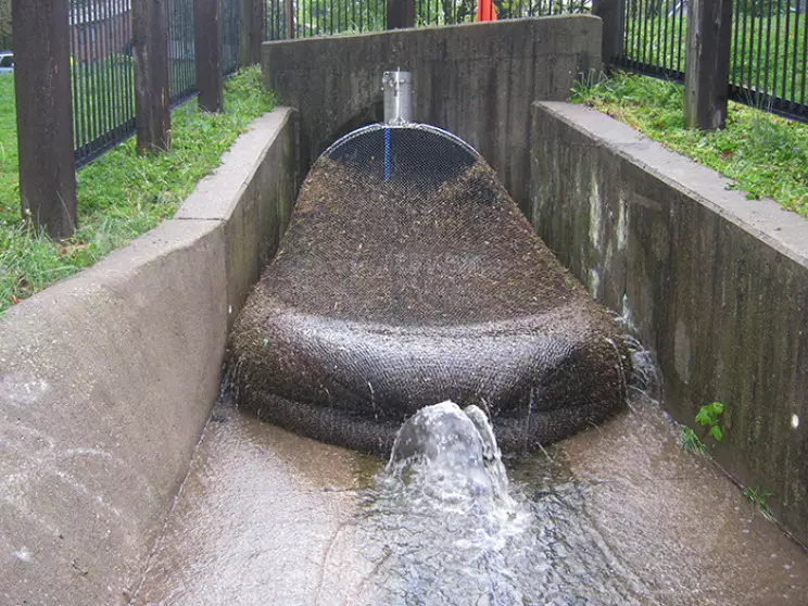 Австралийн хот ус зайлуулах шугамыг бохирдуулдаг хог хаягдлыг зогсоохын тулд ус зайлуулах тор ашигладаг