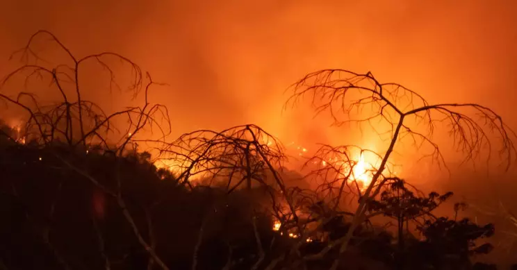 Η NASA λέει ότι οι πυρκαγιές του Αμαζονίου πυροδοτήθηκαν επίσης από φυτά που υποφέρουν από το νερό