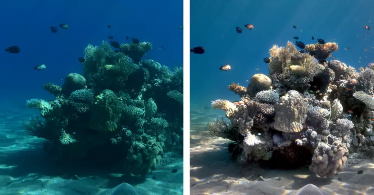 Новий алгоритм усуває підводні спотворення для отримання чітких кольорових зображень