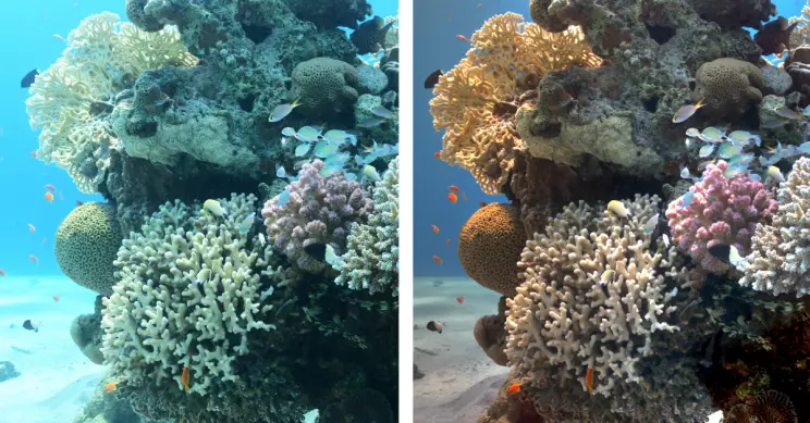 Uus algoritm eemaldab veealused moonutused selgete värviliste piltide jaoks
