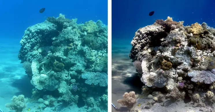 Uusi algoritmi poistaa vedenalaiset vääristymät kirkkaiden värikkäiden kuvien saamiseksi