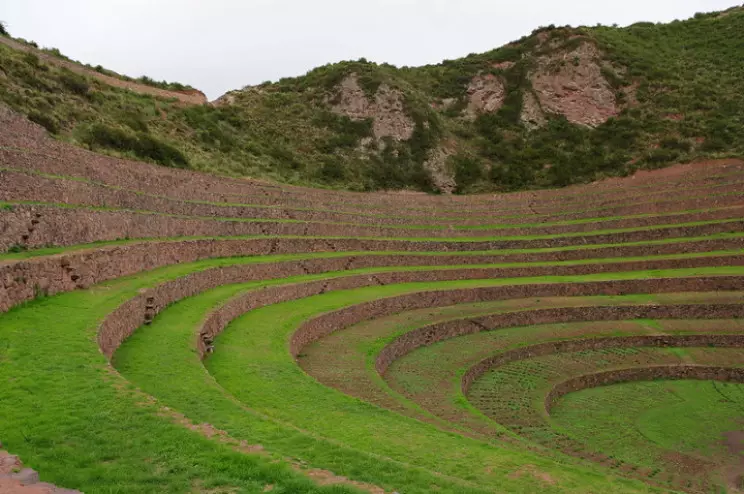 Moray Terraces