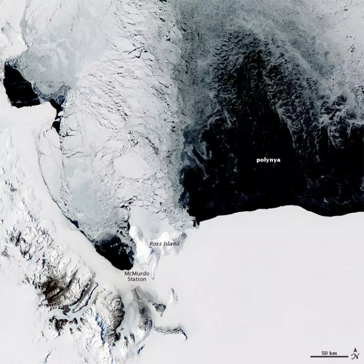 An lura da Polynya a Antarctica