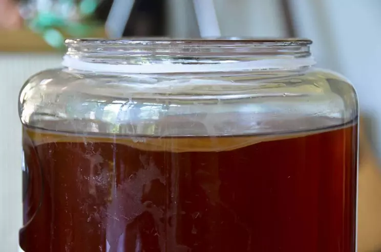 kombucha là gì