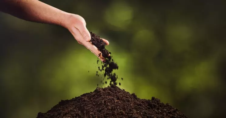 Converteix el teu ésser estimat difunt en sòl: primer lloc de compost humà que s'obre el 2021