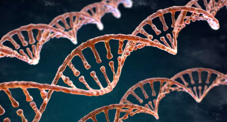 Ahli Genetika Harvard Ingin Mengembangkan Aplikasi Kencan Berdasarkan Kompatibilitas DNA