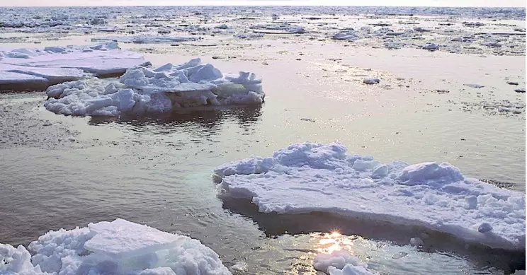 معاناة سكان ألاسكا تسليط الضوء عليها في بطاقة تقرير القطب الشمالي