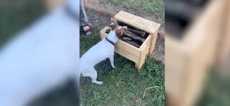 Ein Mangel an Stöcken veranlasst den Menschen, eine „Stockbibliothek“ für den Hundepark zu bauen