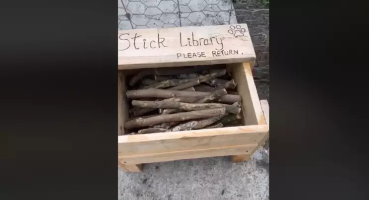 In tekoart oan stokken freget de man om 'Stick Library' te bouwen foar Dog Park