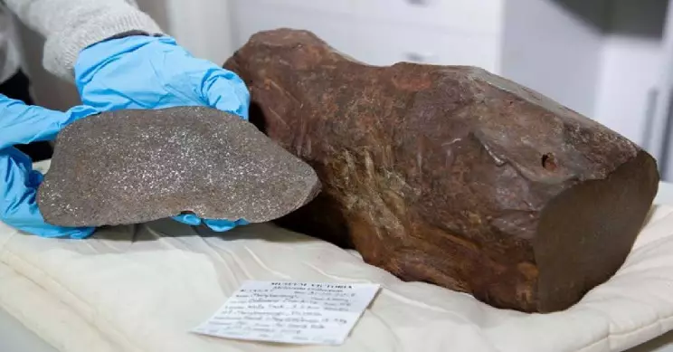 Un home descobreix que la roca irrompible que va mantenir durant anys és un meteorit rar de 4.000 milions d'anys