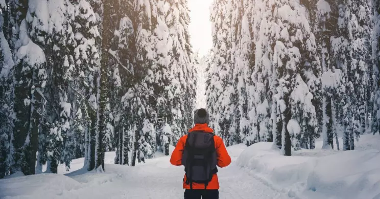 17-godišnjak iz Kalifornije preživio 30 sati u ledenim hladnim planinama Utah koristeći mobilni telefon da ostane budan