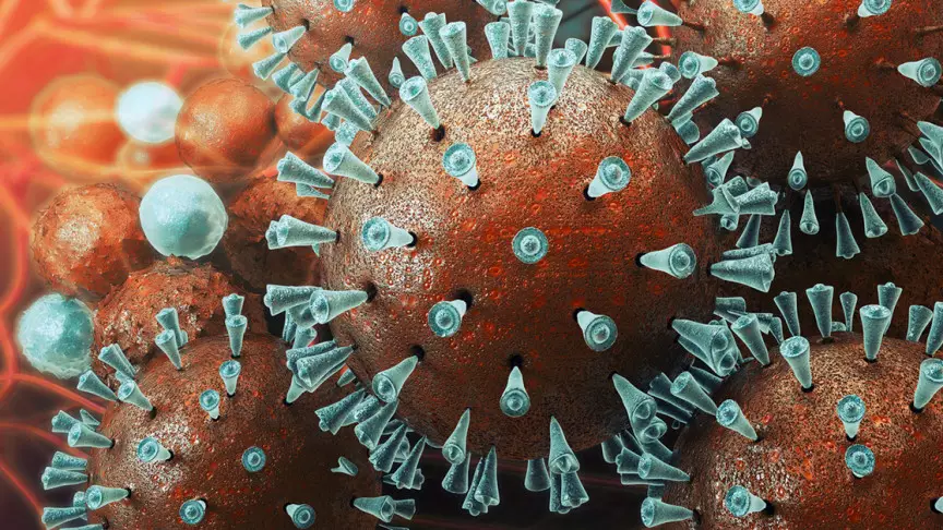 WHO는 중국에서 신비한 질병의 발병이 새로운 바이러스와 관련이 있다고 밝혔습니다