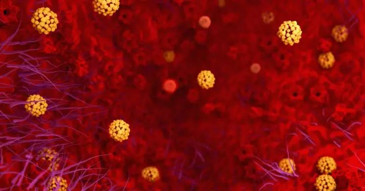 Ljudi mogu širiti novi koronavirus koji je ubio 6 ljudi