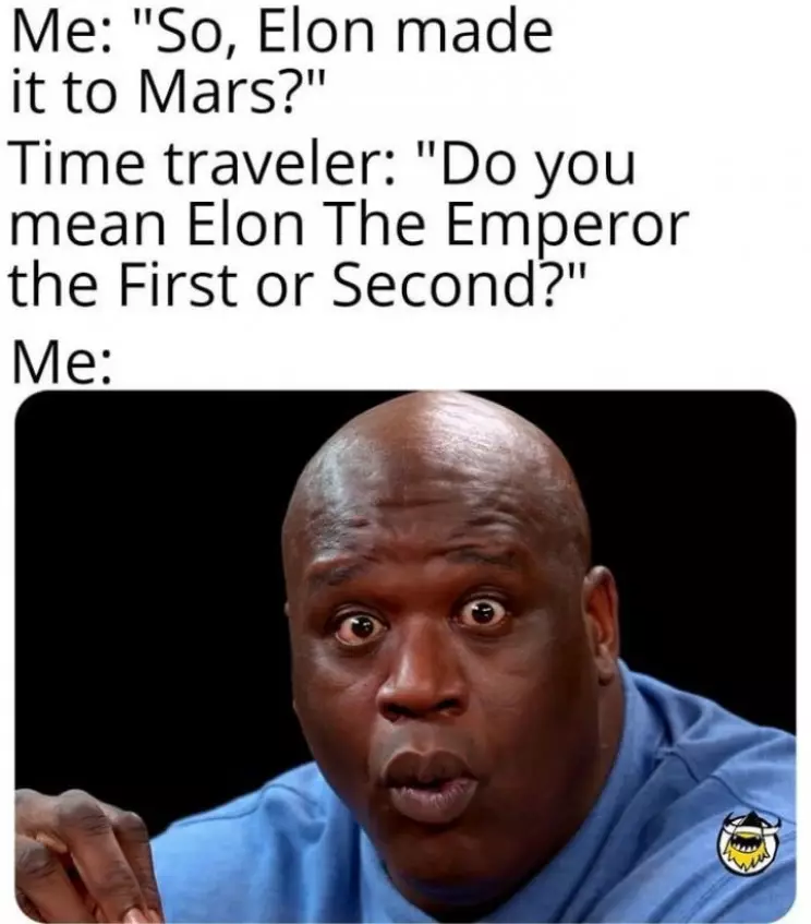 tímaferðalög memes elon musk