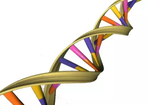 обществено достояние от Националните здравни институти https://commons.wikimedia.org/wiki/File:DNA_Double_Helix.png