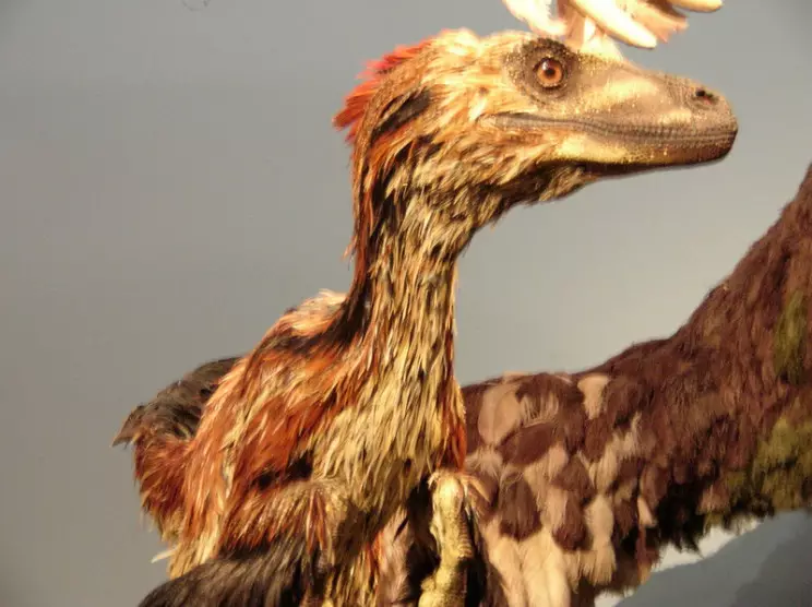 vahingossa tehdyt löydöt deinonychus