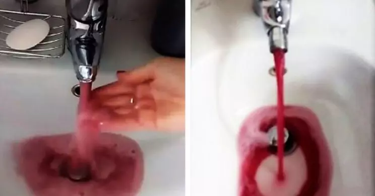 Հիասքանչ անսարքությունը ստիպում է գինին հոսել հյուսիսային Իտալիայի քաղաքի ծորակներից