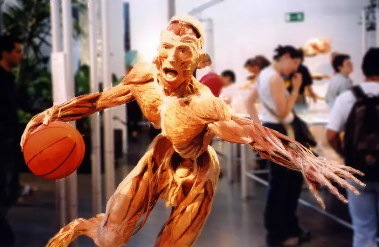 غیر معمولی جسم کے تحفظ کے plastination